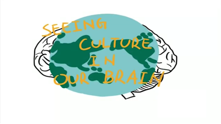 Seeing Culture in Our Brain
